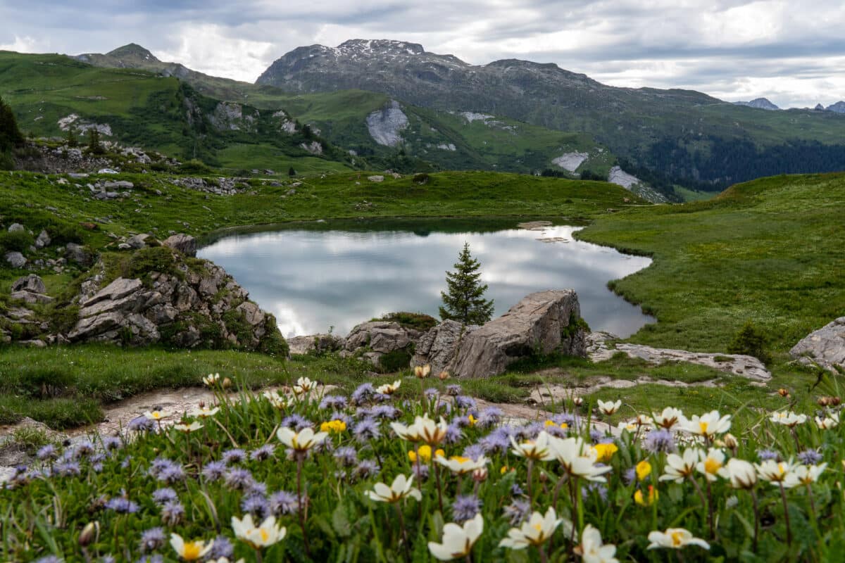 Lac-des-Fées | Massif-du-Beaufortain | Gaetan Michel.com | Savoie