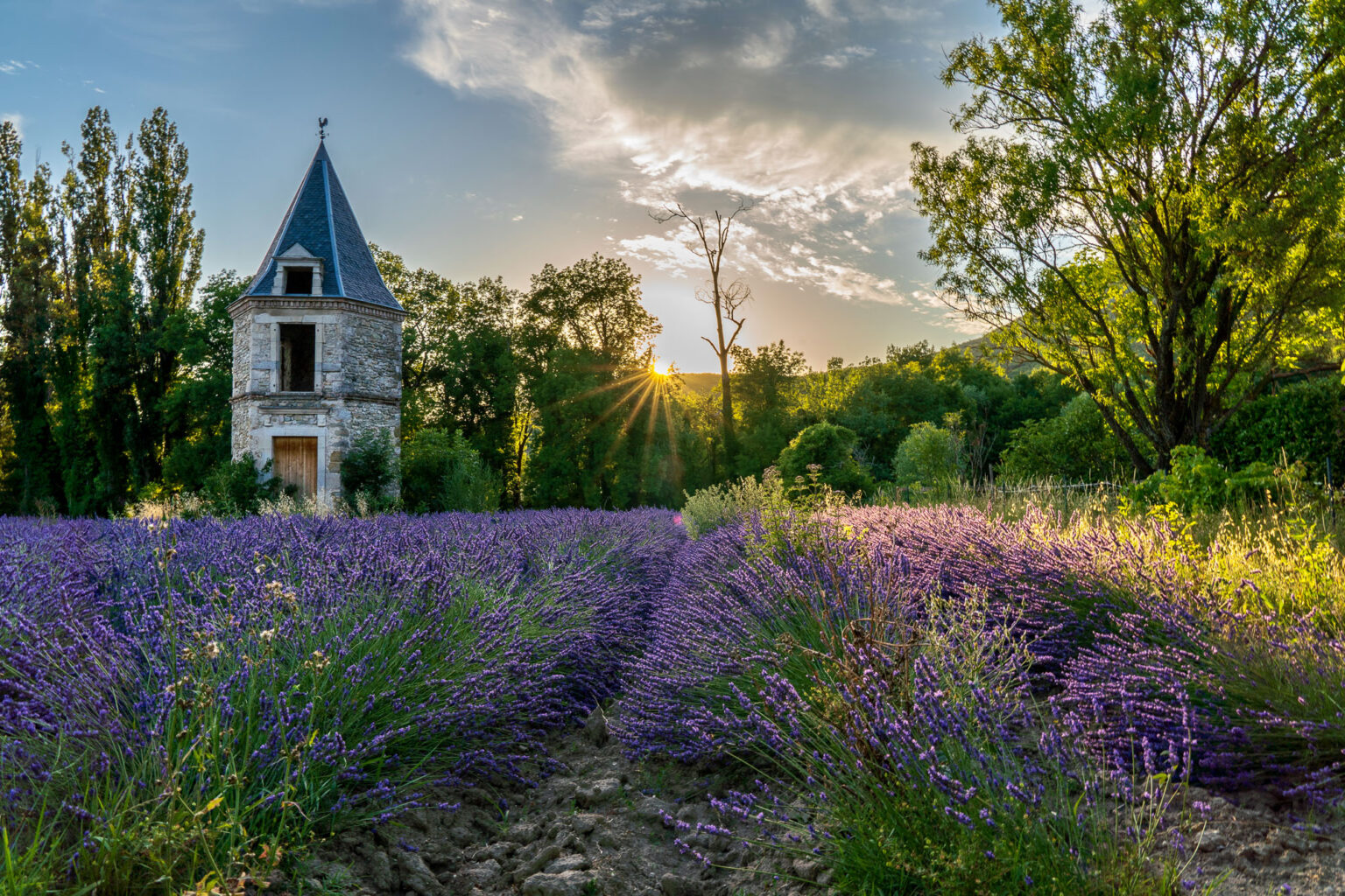 Photo | Drôme-Provençale | lavande | Gaetan-Michel | Provence